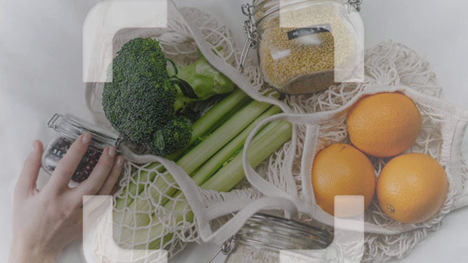 Food-Health Scanner Waste Saver (CASE STUDY) | The Envisionary